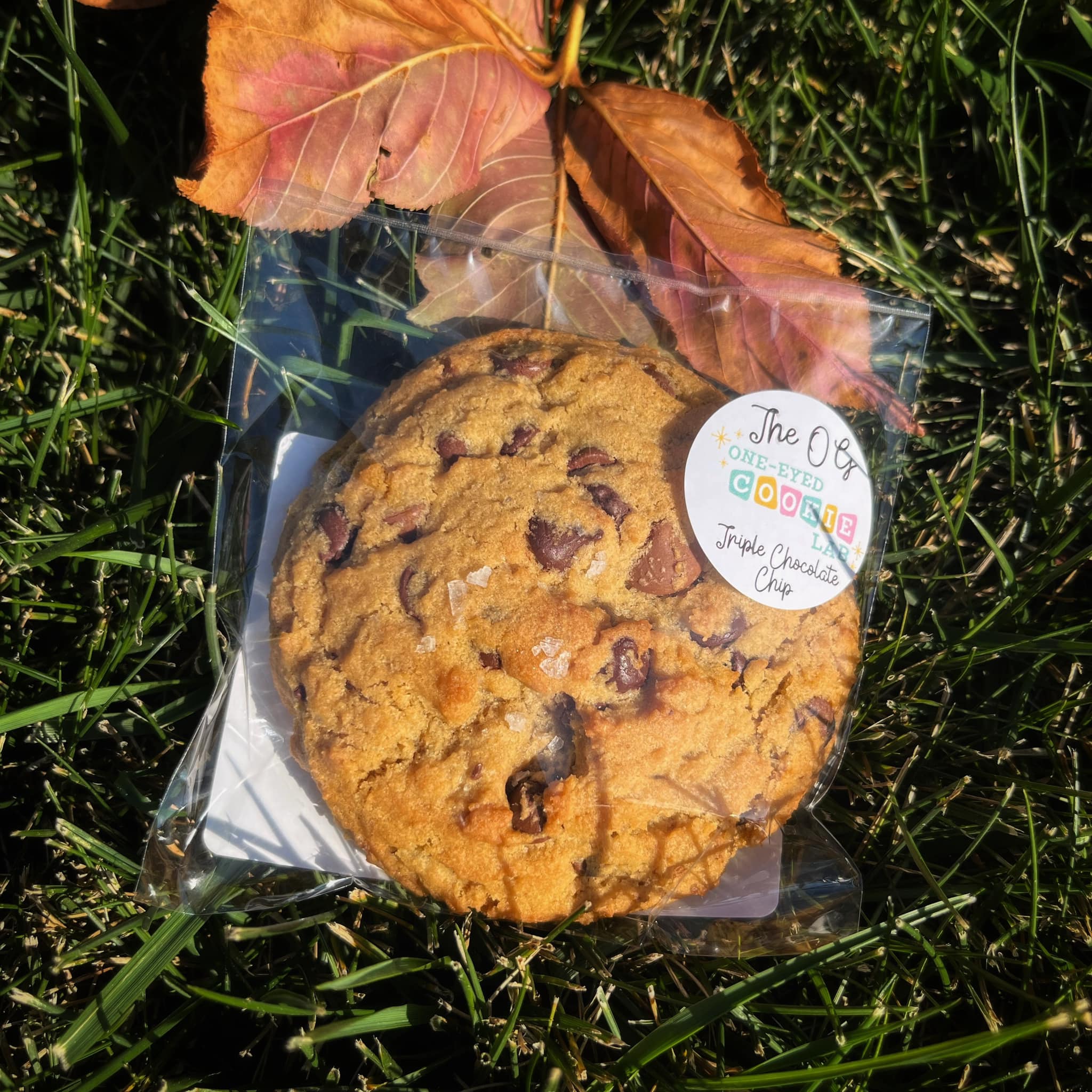 Satisfy Your Sweet Tooth on National Homemade Cookies Day - Downtown ...